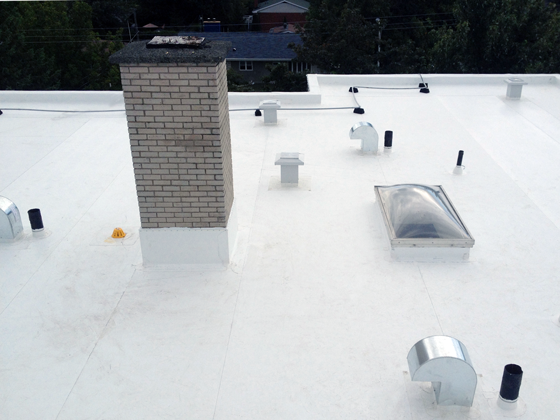 Toitvert │ Étanchéité de toitures